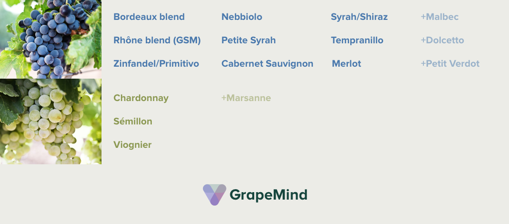 The Tolerant Wine Taste Profile – GrapeMind